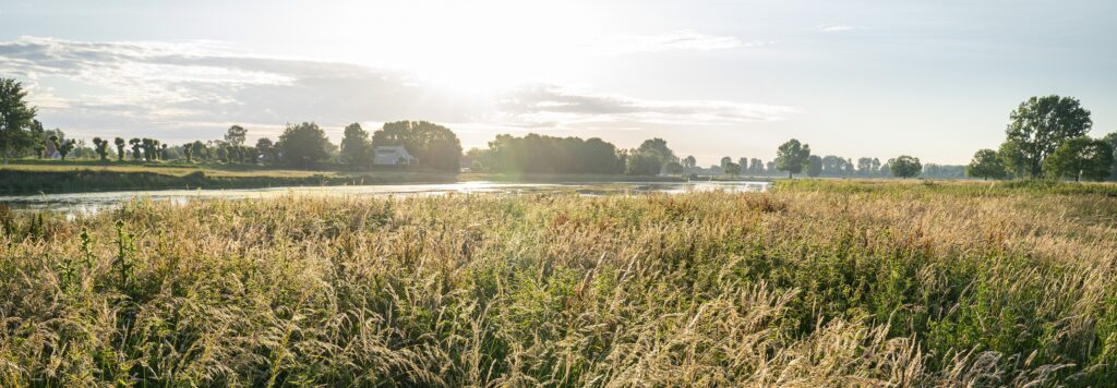 Ter inzage - Meanderende Maas